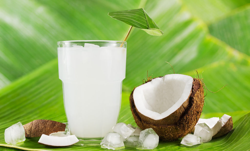BEBIDAS Y LICORES DEL CARIBE: El Agua de Coco - Caribe.Lat